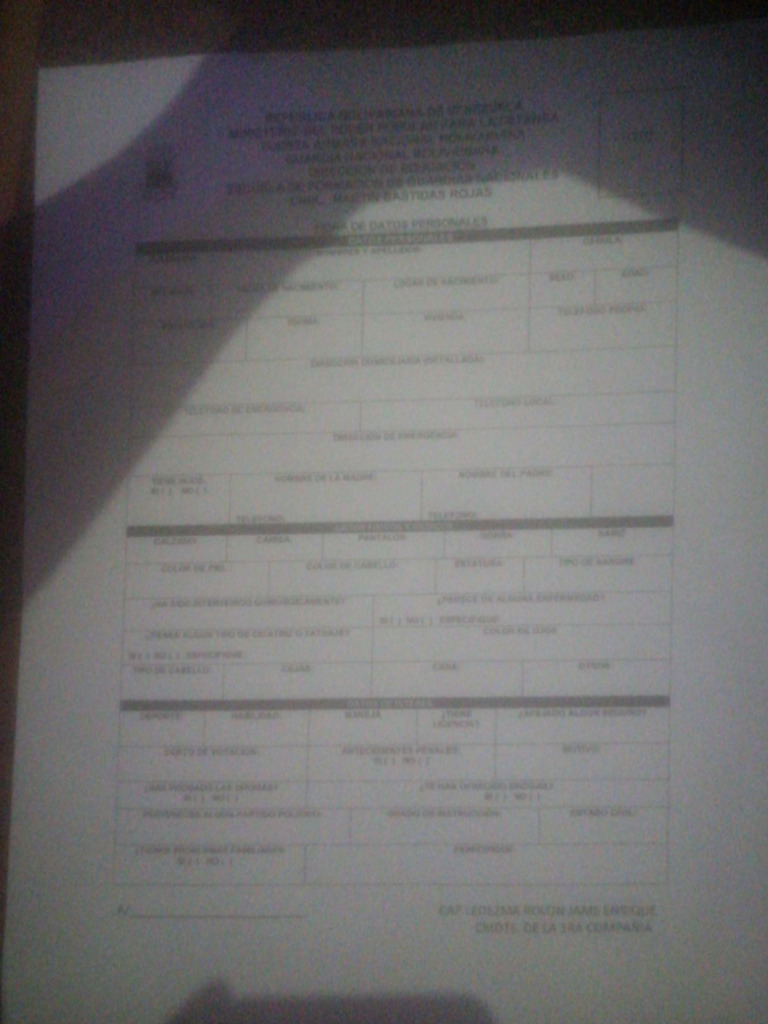 Documento WPS Office | PDF