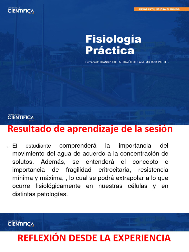 Fisiología Animal - Sem-03 - Sesión-06 - 2022-2 | PDF | Sangre | Química