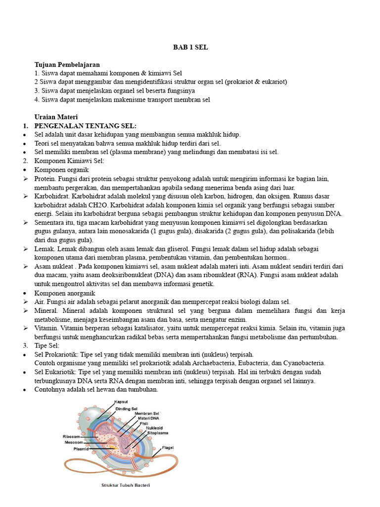 Materi Ajar Bab 1 Sel | PDF | Kesehatan Holistik