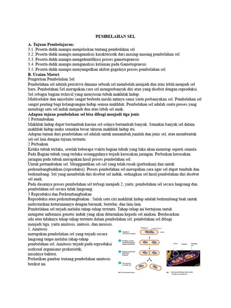 Materi Ajar Bab 2 Pembelahan Sel | PDF