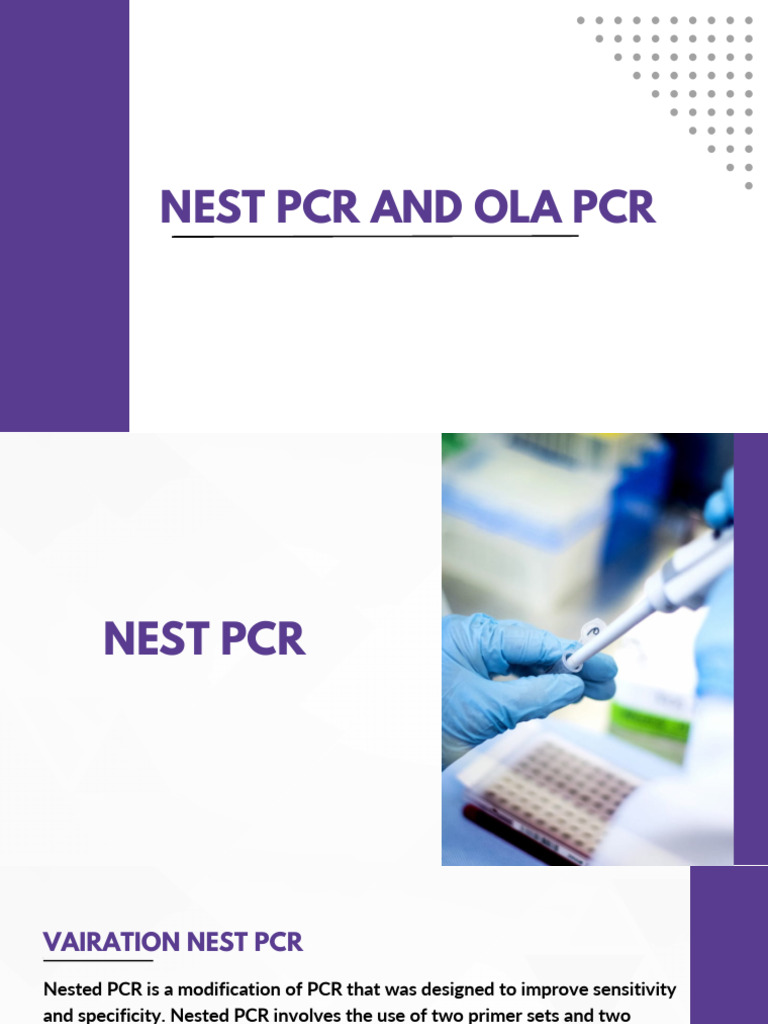 Nest PCR and Ola PCR | PDF | Polymerase Chain Reaction | Primer ...