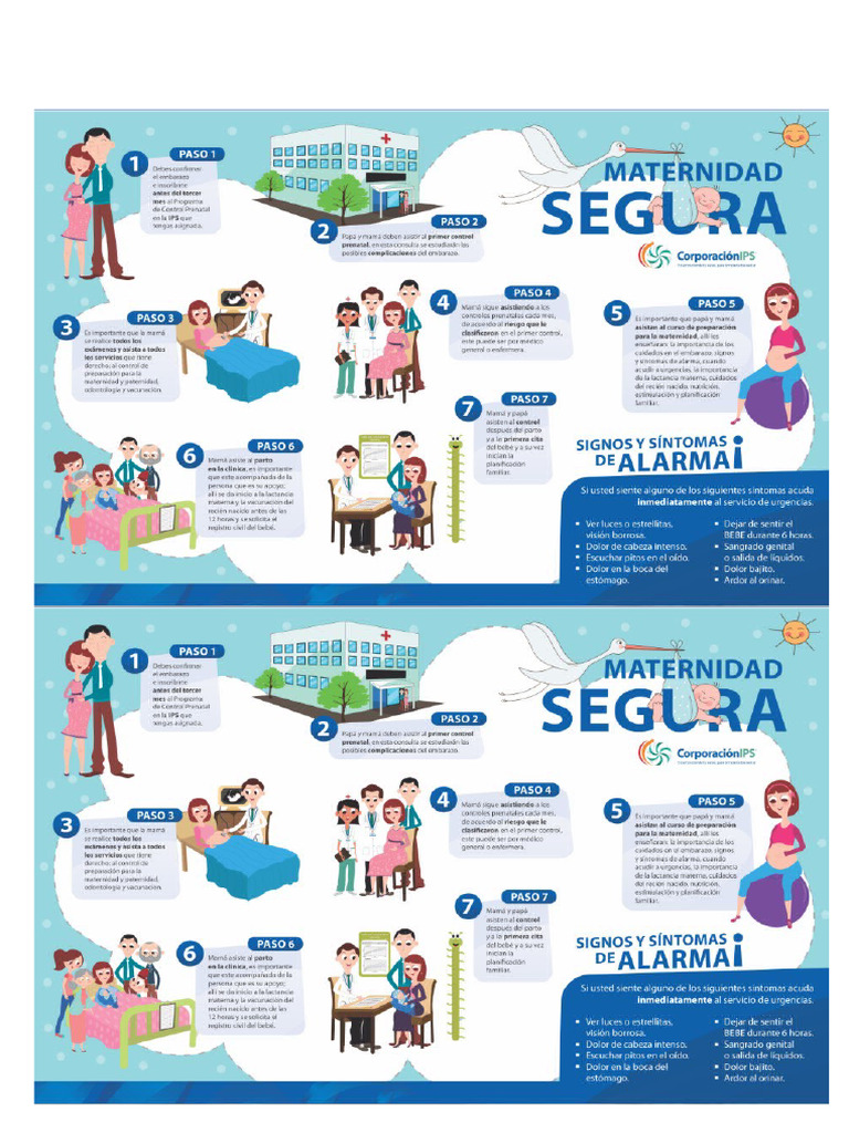 Folleto Maternidad Segura | PDF