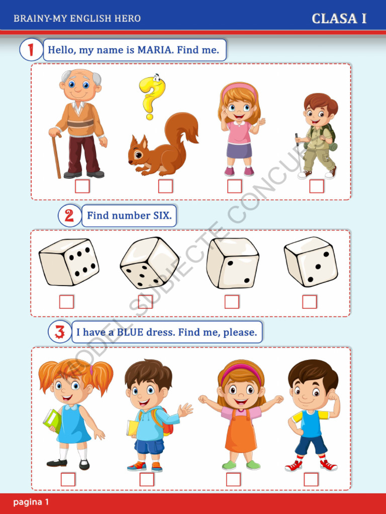 Brainy - Model Subiecte | PDF