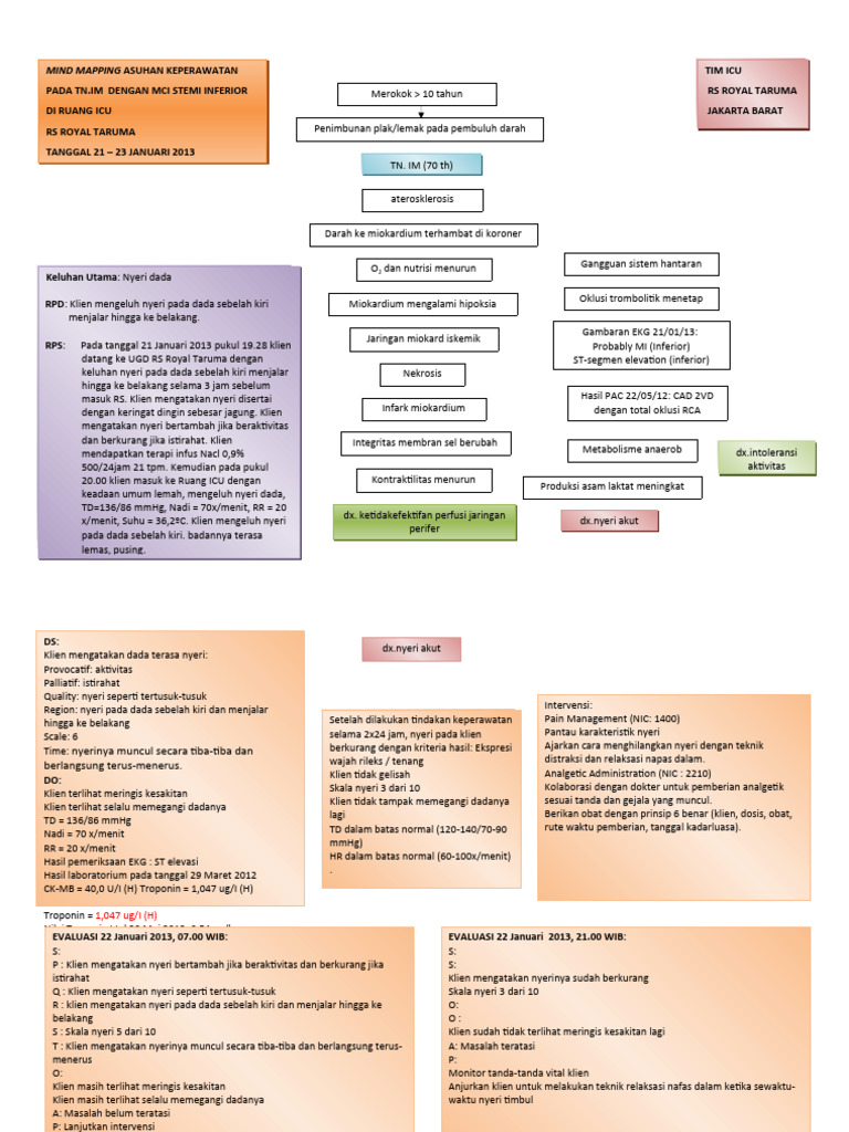 Mindmap Icu | PDF