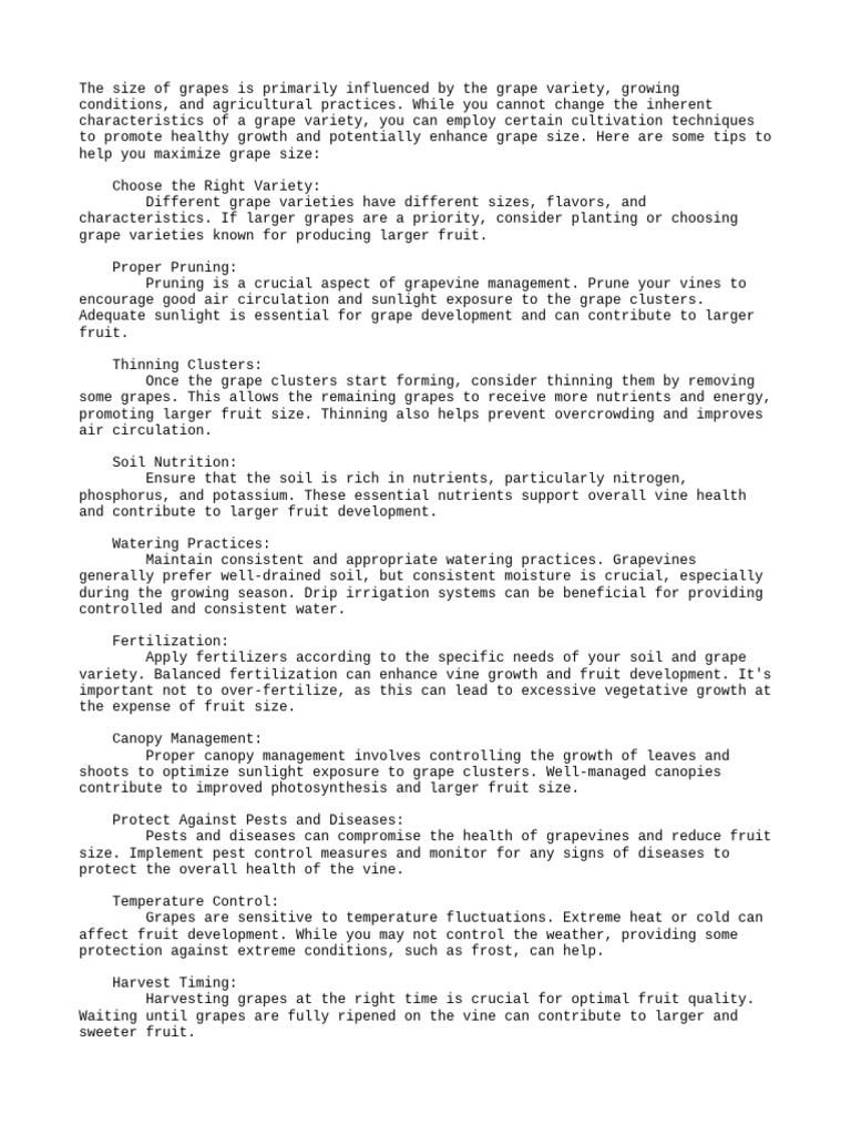 Grapes | PDF | Vitis | Agriculture
