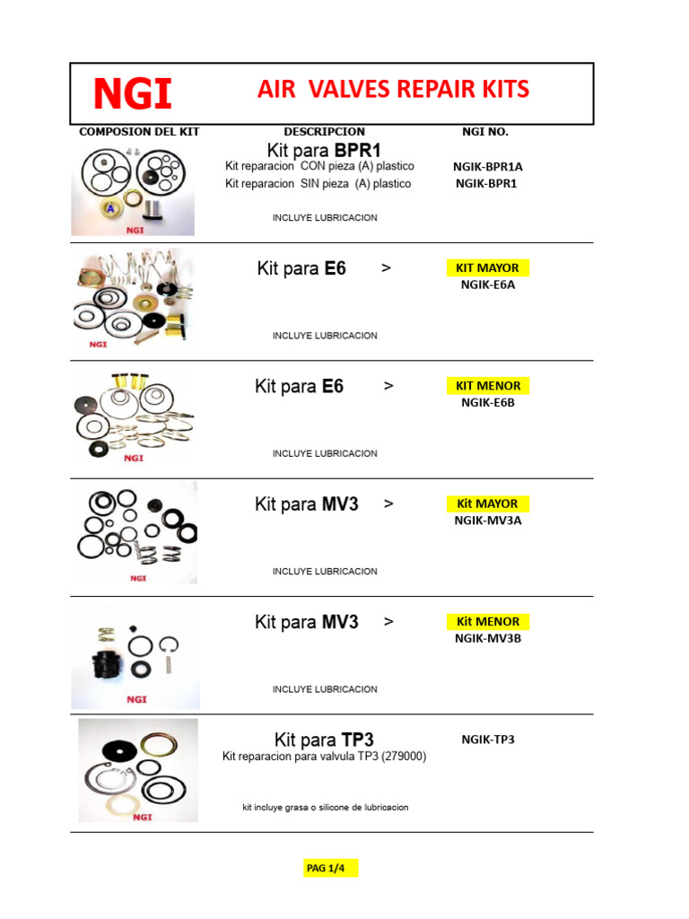 Repair Kit-Valve Ngi | PDF | Ingeniería mecánica | Lubricación