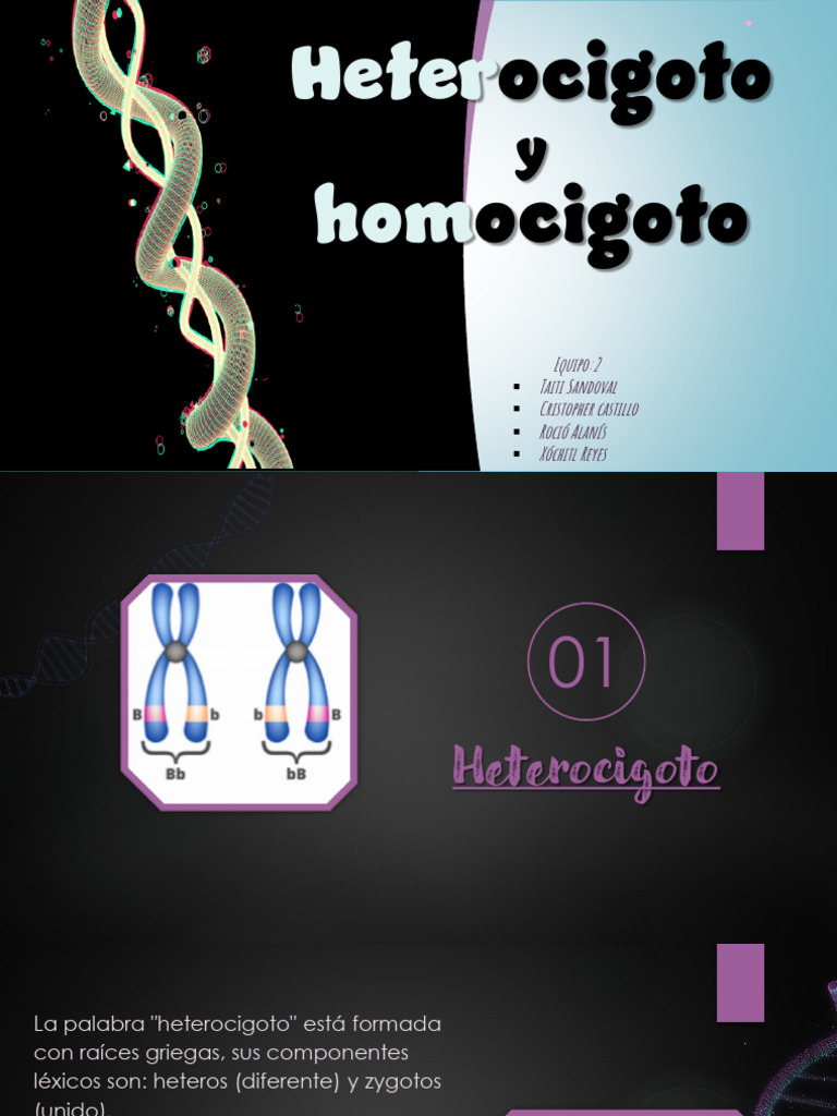 Hetero y Homocigoto | PDF