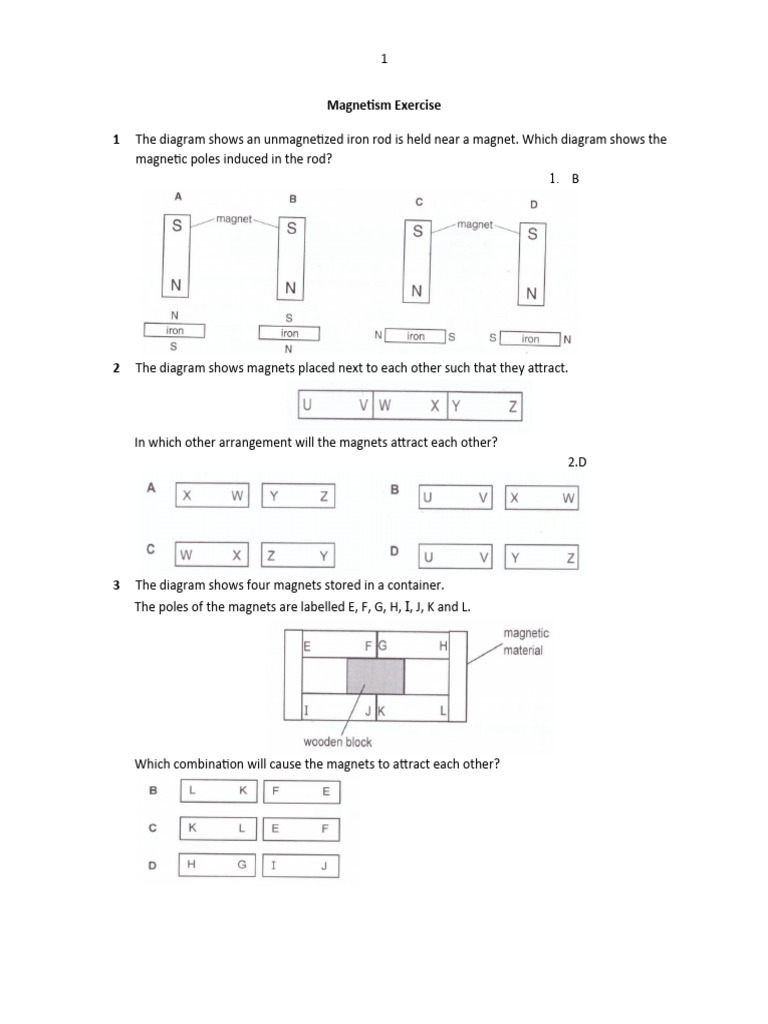 Magnetism Exercise | PDF | Magnet | Magnetism