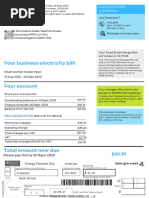Uk Utility Bill | PDF