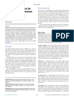 Walking and Gaits - Stages - TeachMeAnatomy | PDF | Human Leg | Walking