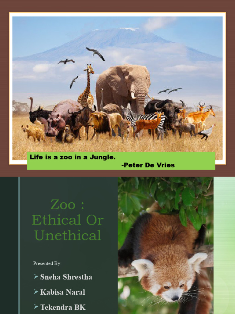 Life Is A Zoo in A Jungle. - Peter de Vries | Download Free PDF | Zoo ...