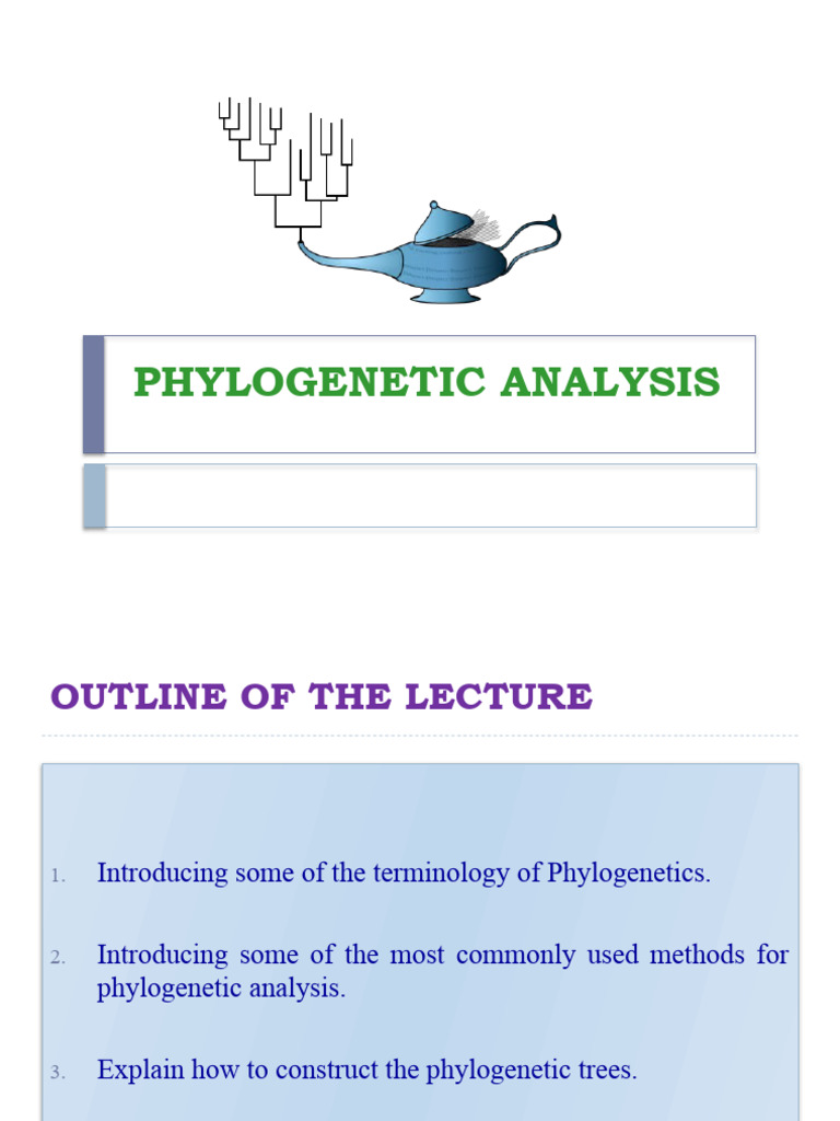 Phylogenetic Analysis1 | PDF | Phylogenetic Tree | Sequence Alignment
