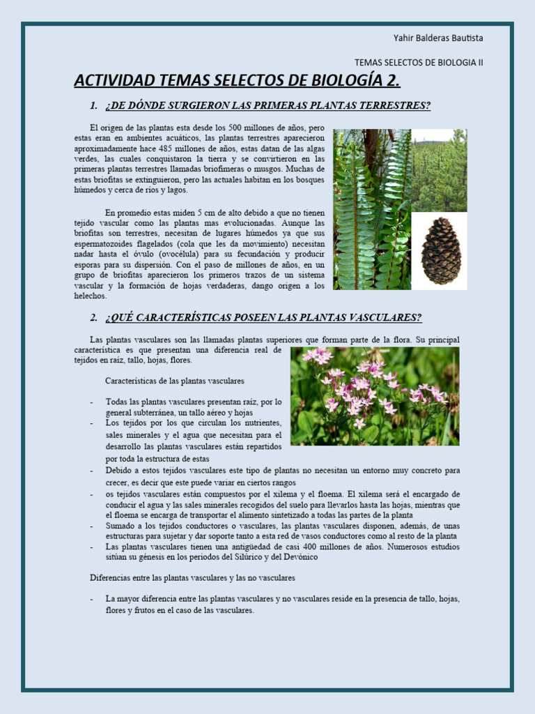 Actividad Temas Selectos de Biología 2 | PDF | Flores | Plantas