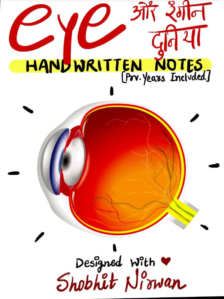 Human Eye | PDF | Eye | Human Eye