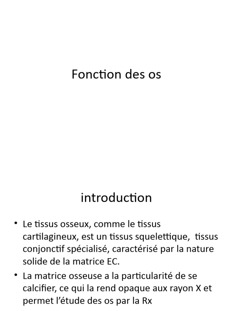 Fonction Des Os | PDF | Os | Ostéoblaste