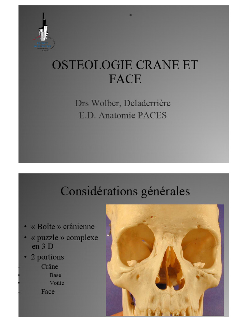 Os Crane | PDF | Anatomie humaine | Tête et cou chez l'humain