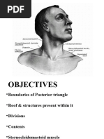 External Vs Internal Jugular Vein | PDF | Vein | Human Anatomy