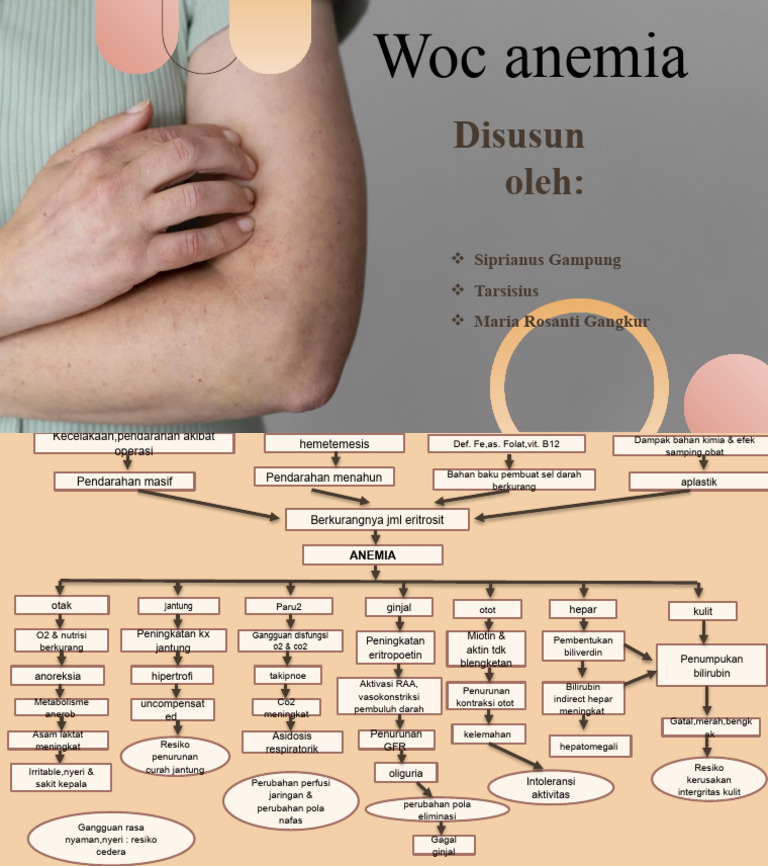 Anemia | PDF