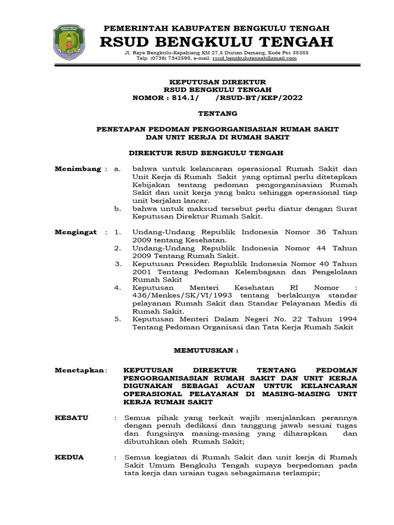 Pedoman PENGORGANISASIAN RS | PDF