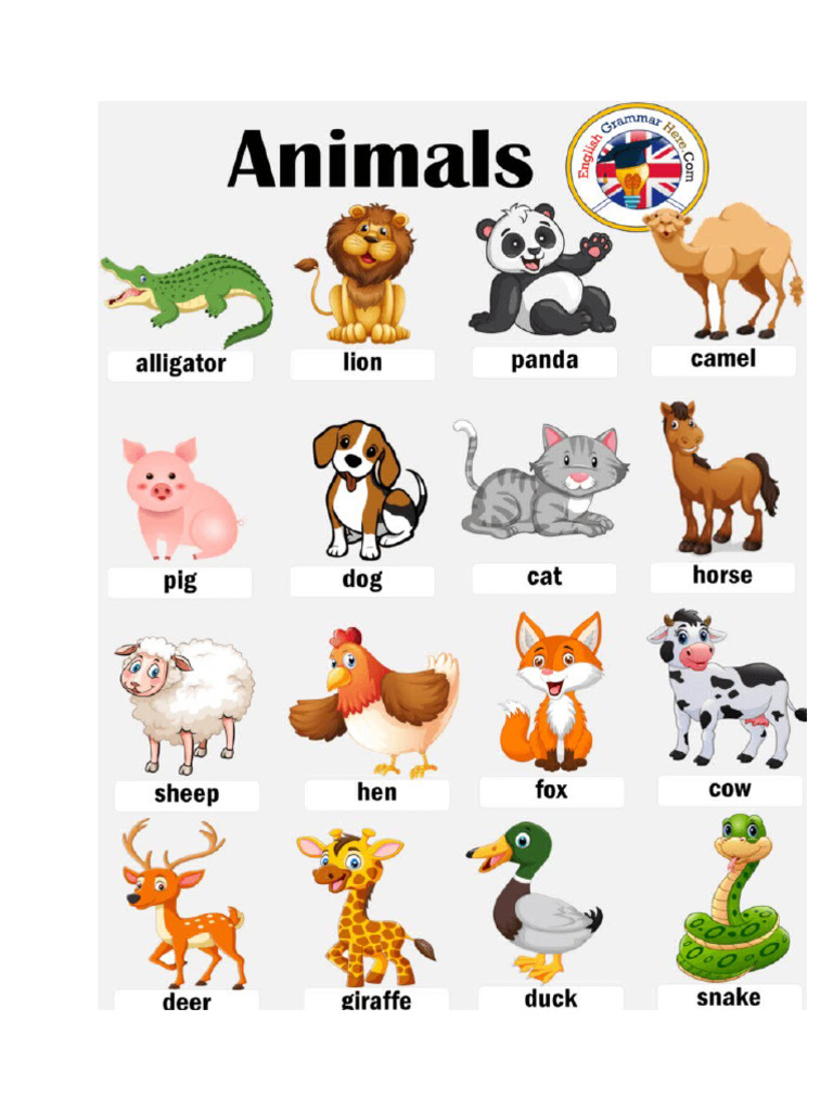 Animals | PDF