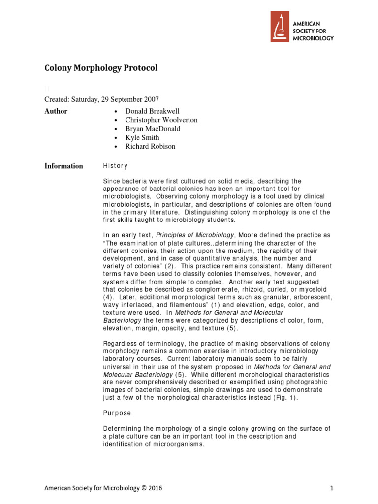 Colony Morphology Protocol Guide | PDF | Laboratories | Laboratory ...