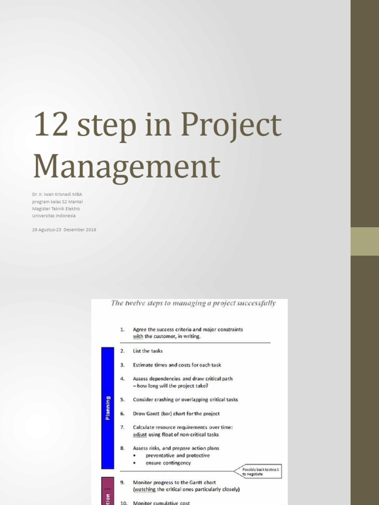 12 Step in Project Management | PDF
