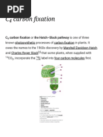 C4 Photosynthesis Mechanism Explained | PDF | Photochemistry | Plant ...