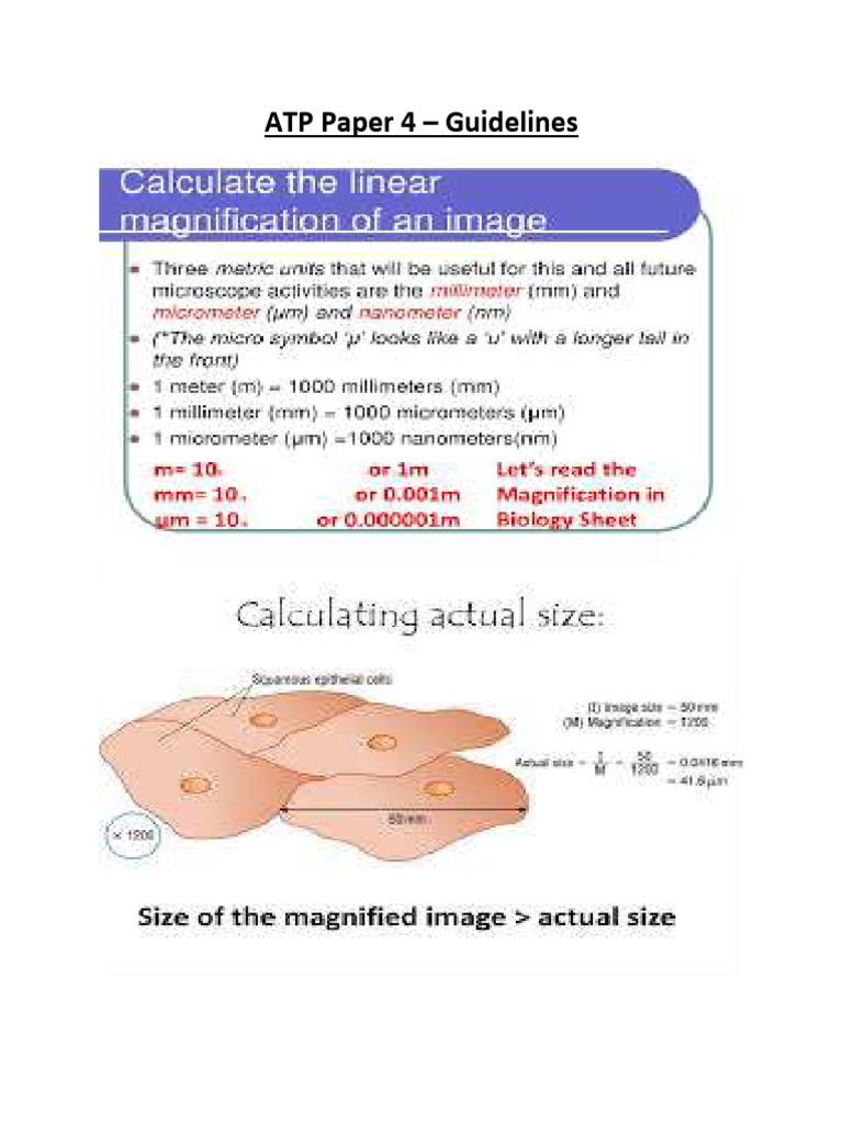 ATP Paper 4 | PDF