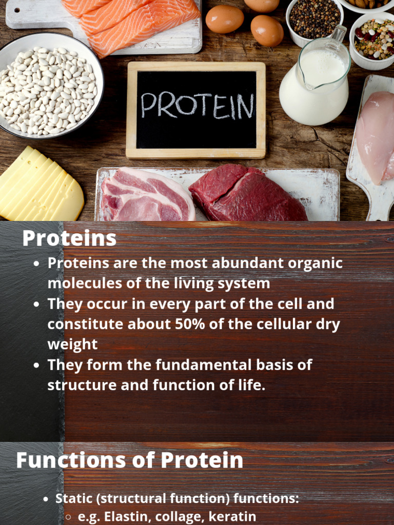 Proteins | PDF