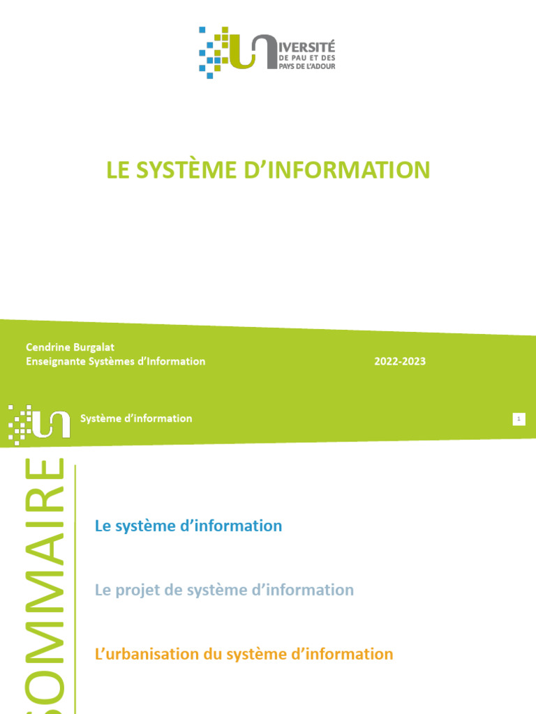 Synthèse SI | PDF | Système d'information | Informatique