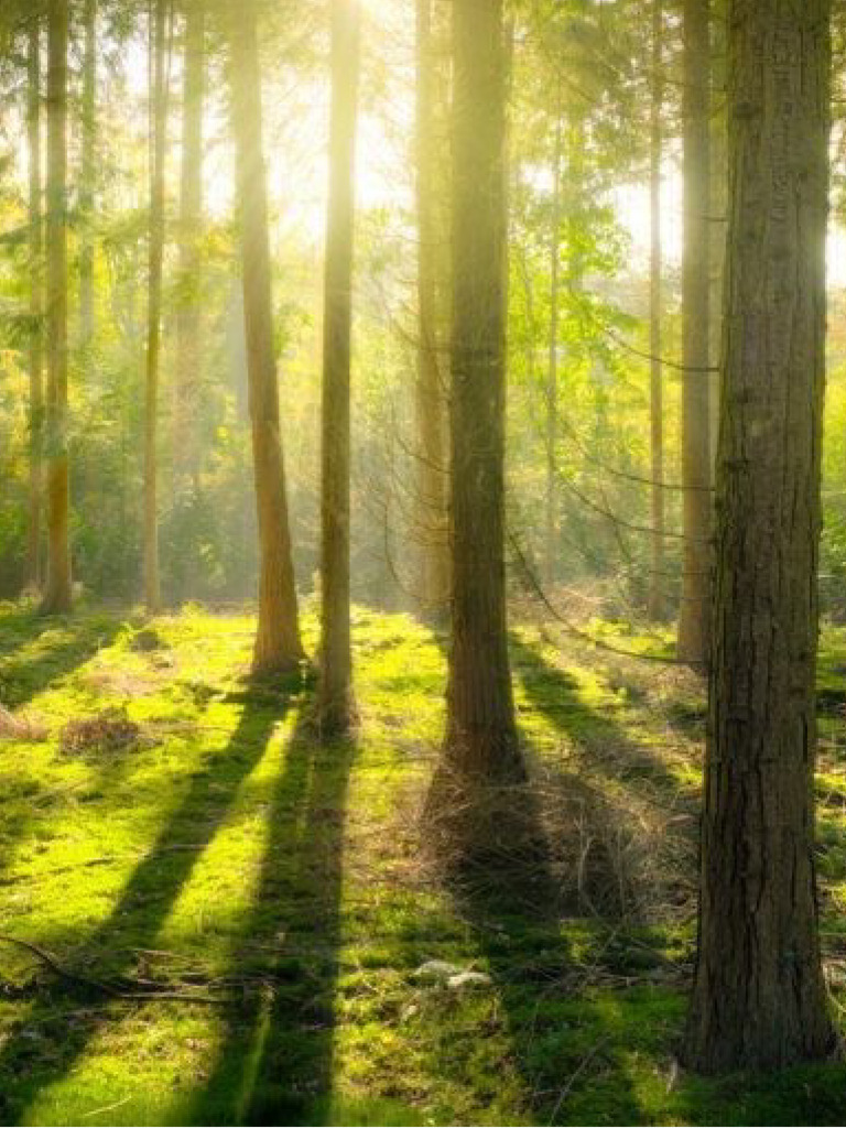 Clocktower Middle Side | PDF