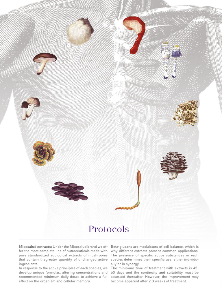 Quick Guide Mycotherapy Protocols | PDF | Gastroesophageal Reflux Disease | Clinical Medicine