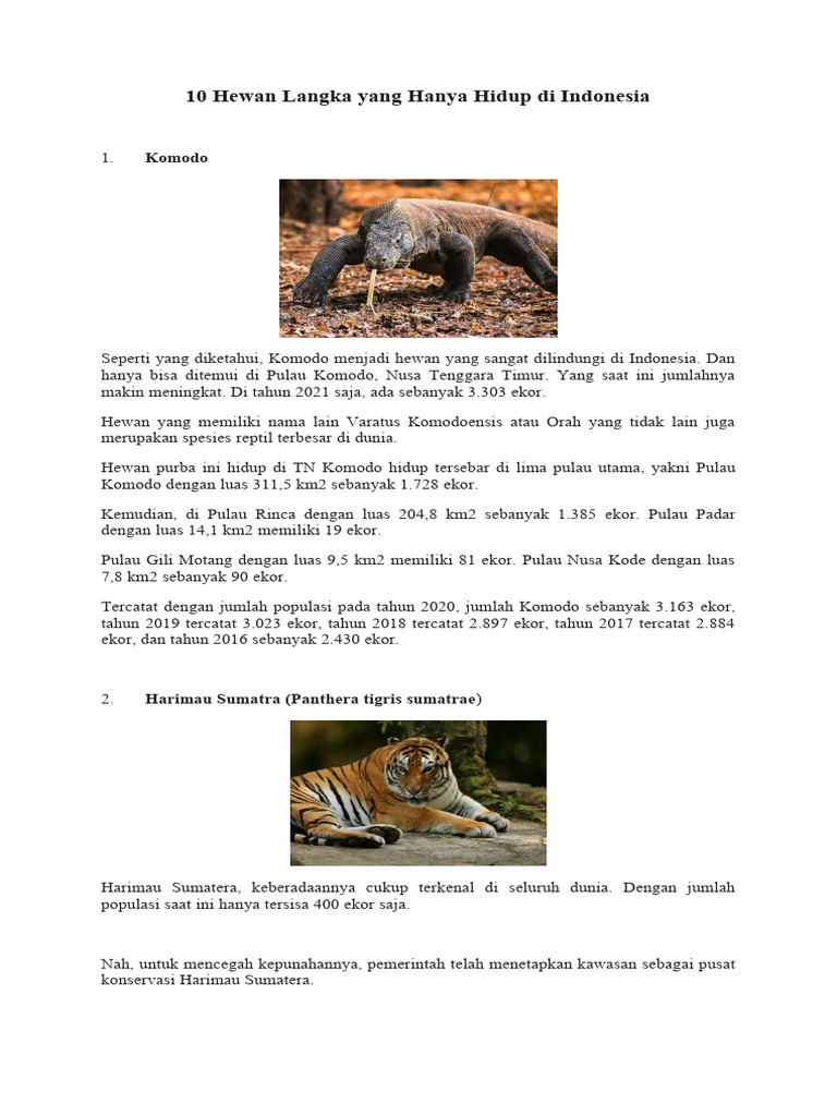 Hewan Langka Indonesia | PDF | Griya & Taman