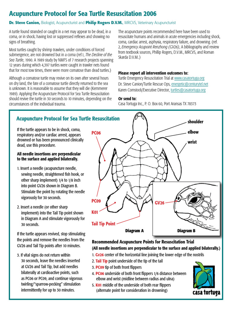 Acupuncture Protocol For Sea Turtle Resuscitation | PDF ...
