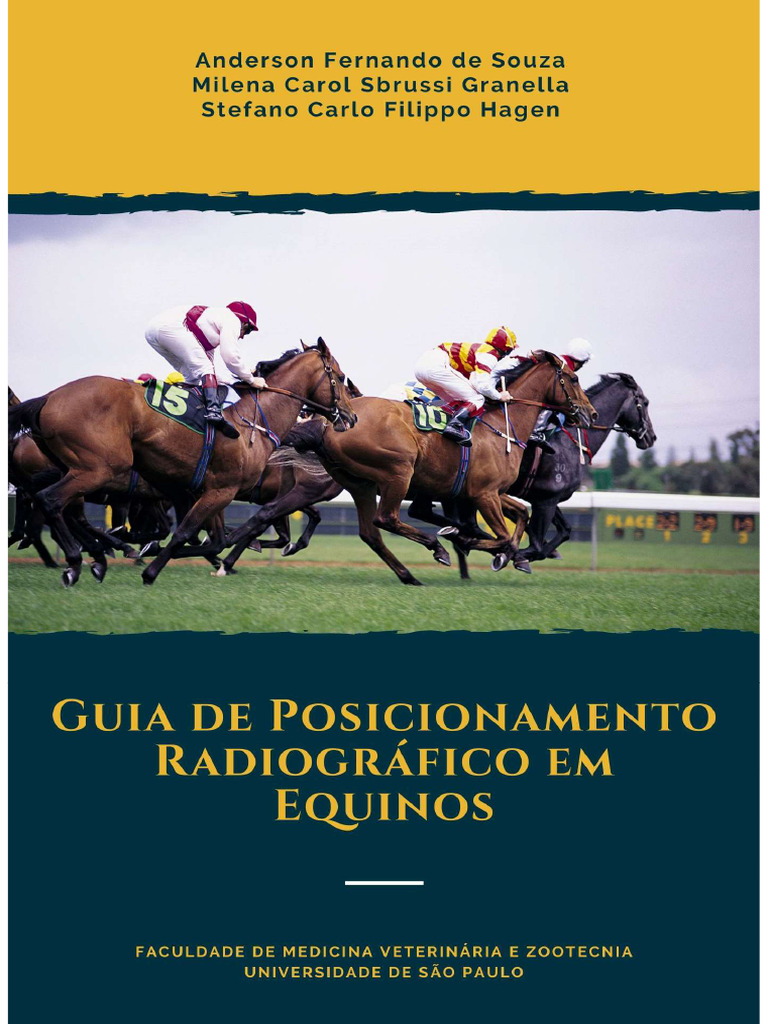 Guia+Posicionamento+Radiográfico+Equinos Versaofinal | PDF | Medicina Veterinária | Coluna vertebral