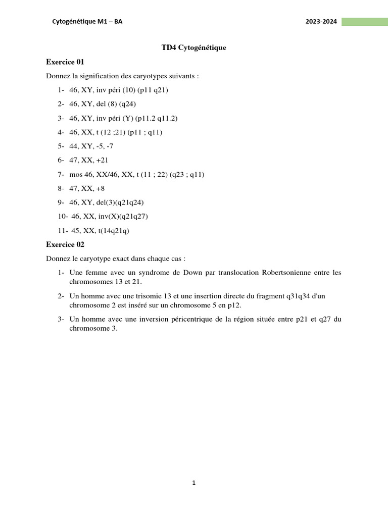 TD4 Cytogénétique | PDF