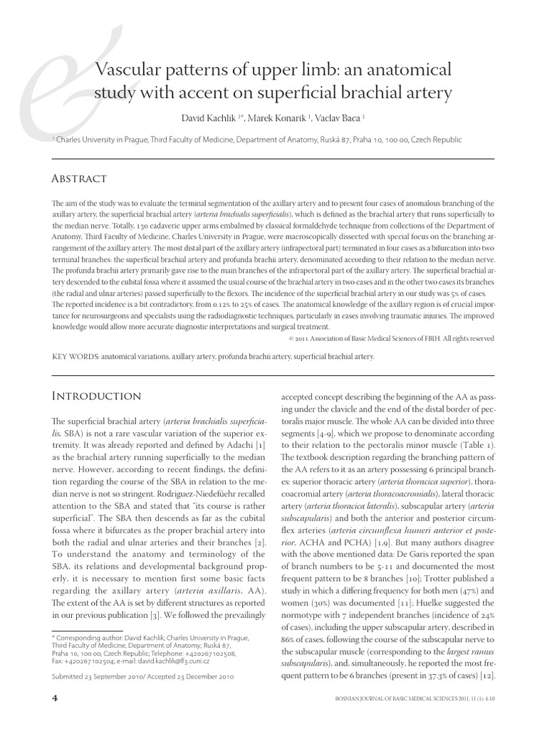 anatomia-superior-artigo-pdf-arm-anatomical-terms-of-location