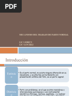 Brandt Andrews | PDF | Partería | Parto