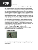 Jenis-Jenis Elang di Indonesia | PDF