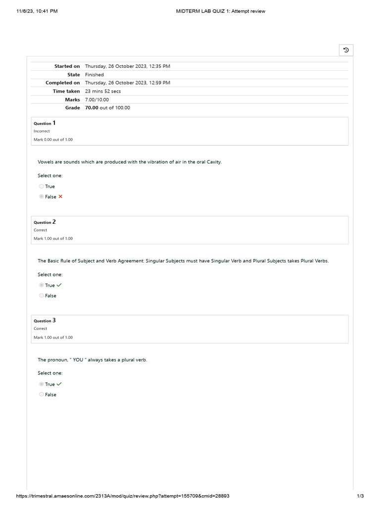 Midterm Lab Quiz 1 Review Results | PDF | Grammatical Number | Plural