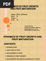 Blotter Test Method | PDF | Seed | Germination