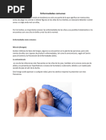 Anatomía de La Uña y Sus Partes | PDF | Clavo (anatomía) | Sistema ...