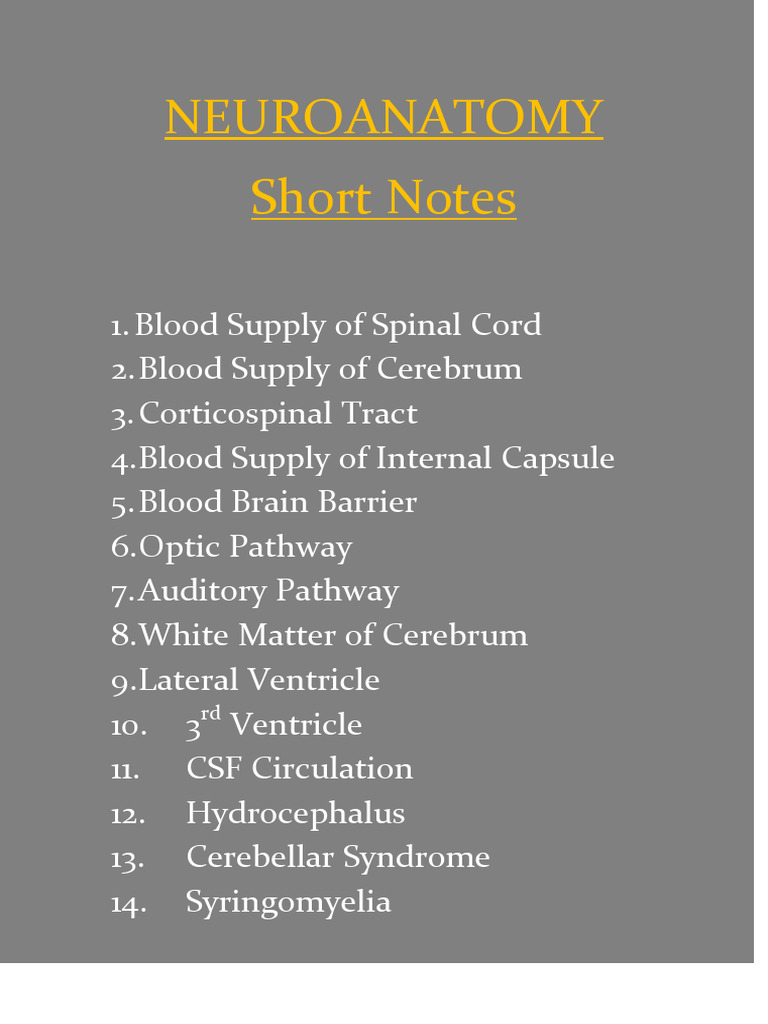 Neuroanatomy Study Guide | PDF
