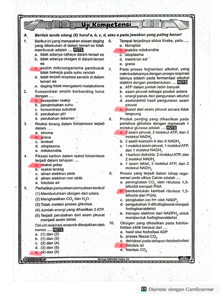 Latihan LKS Bab Metabolisme Sel | PDF