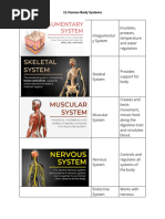 The Human Body Systems Power Point | PDF | Human Body | Blood