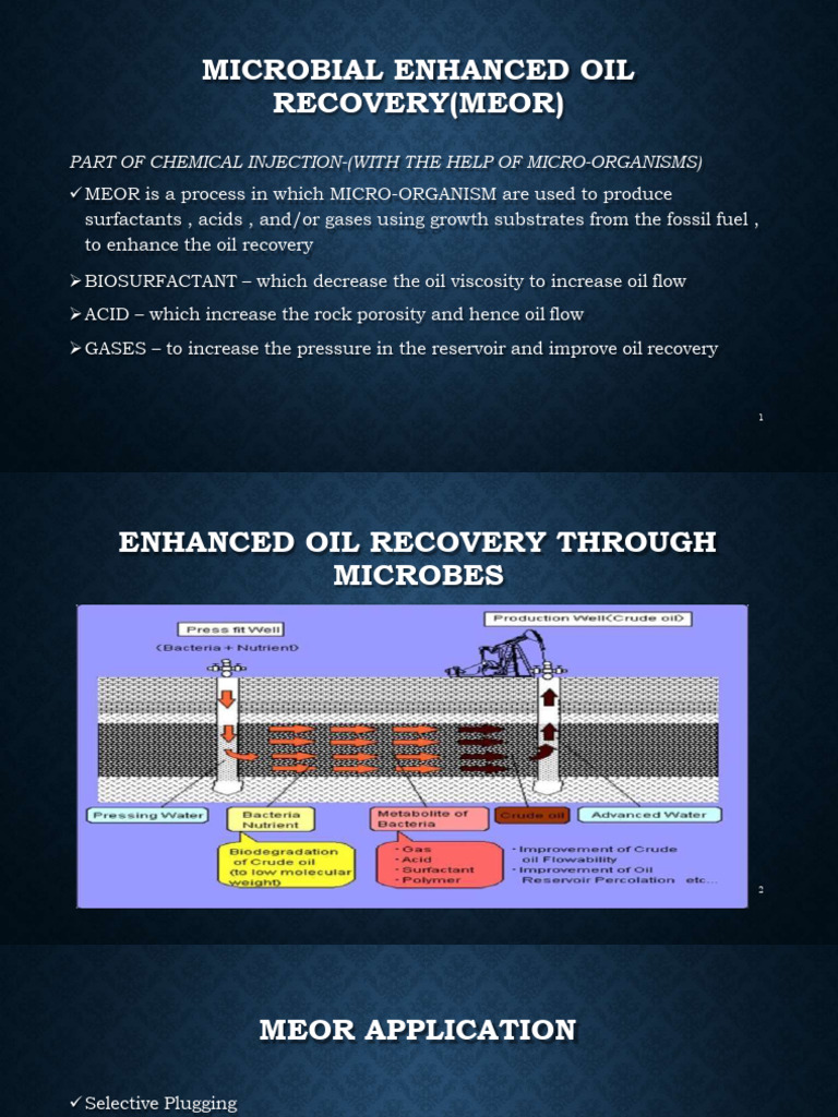MEOR | PDF | Enhanced Oil Recovery | Petroleum