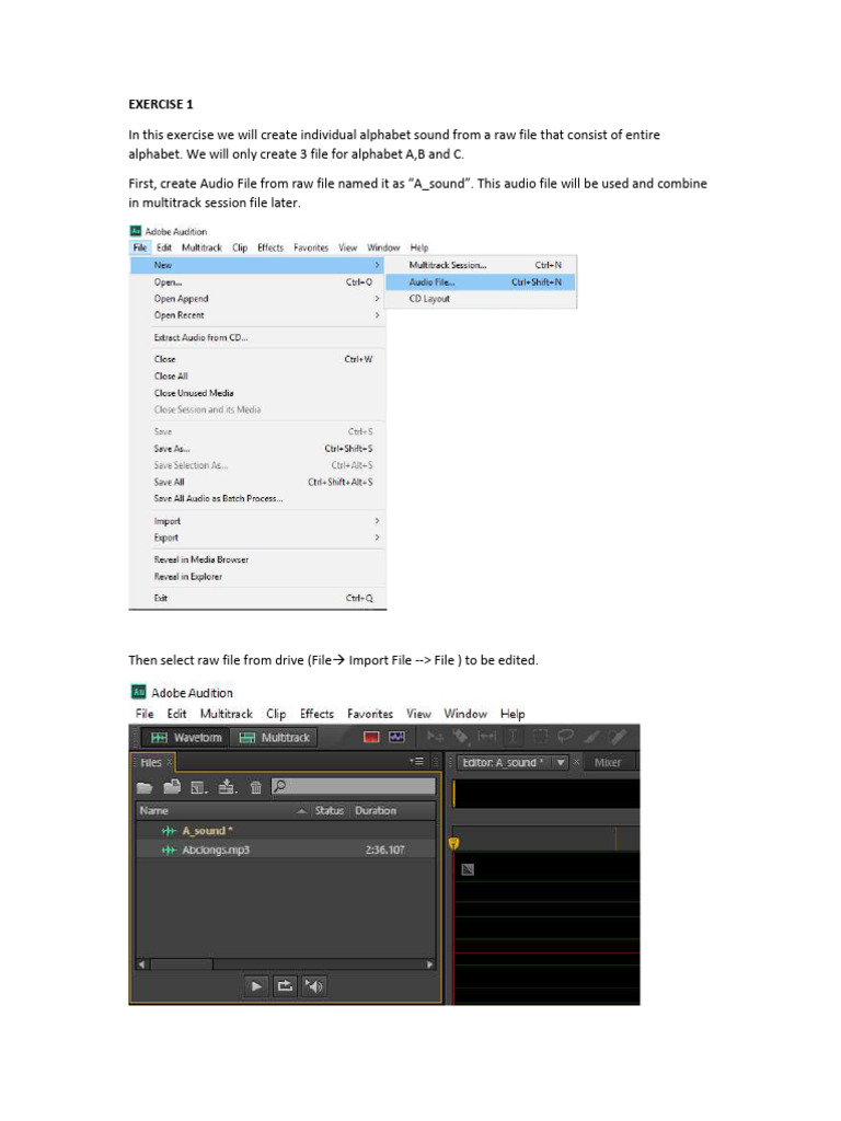 Adobe Audition | PDF