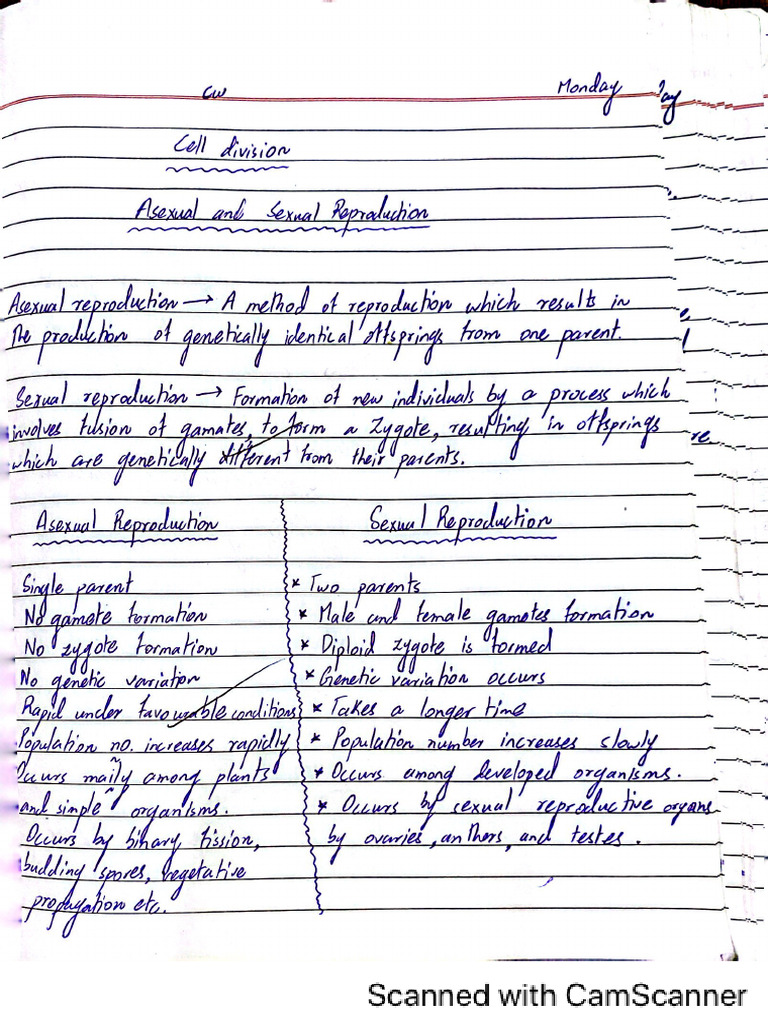 Reproduction in Plants & Humans | PDF