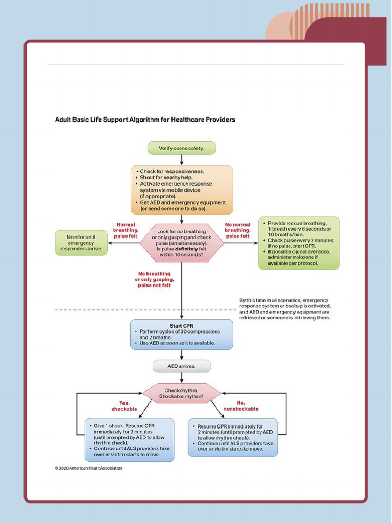 Basic Life Support Algorithm | PDF | Cardiopulmonary Resuscitation ...
