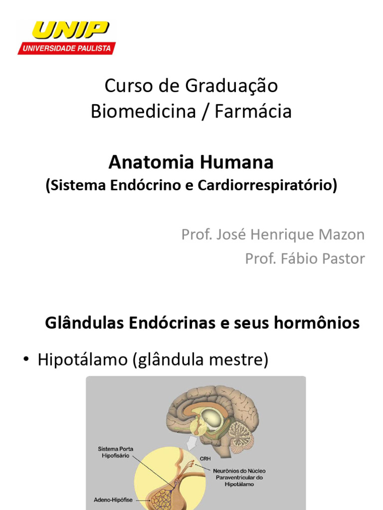 Anatomia (Aula 5) | PDF | Glândula pituitária | Sistema respiratório